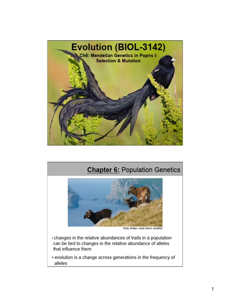 BIOL3142 Lecture Slides Chapter 6 | PDF