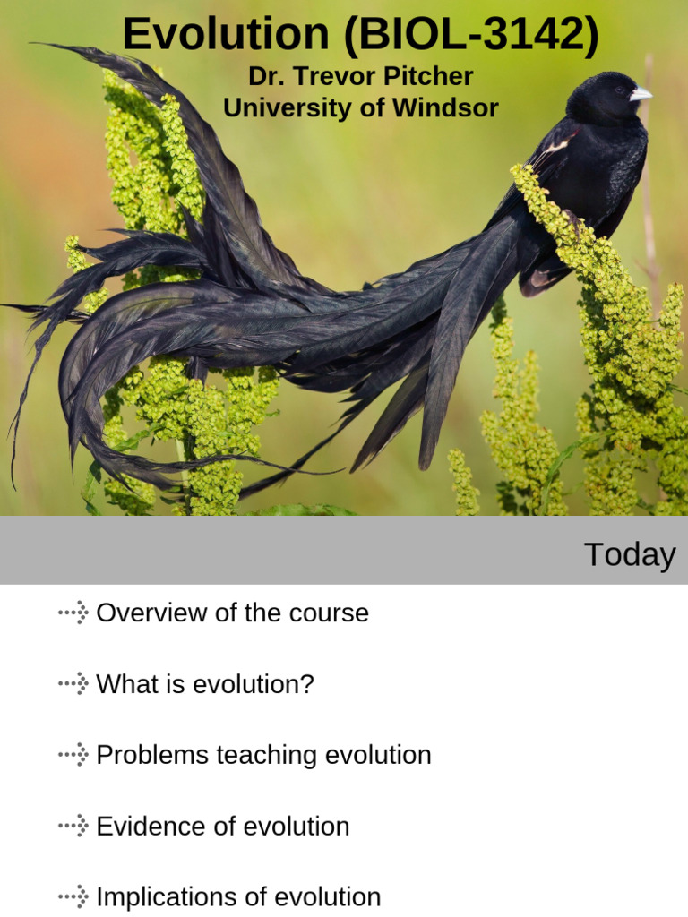 Biol3142 Lecture Slides Chapter 2 Intro Pdf