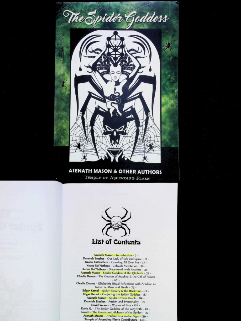 Spider Queen of The Void | PDF