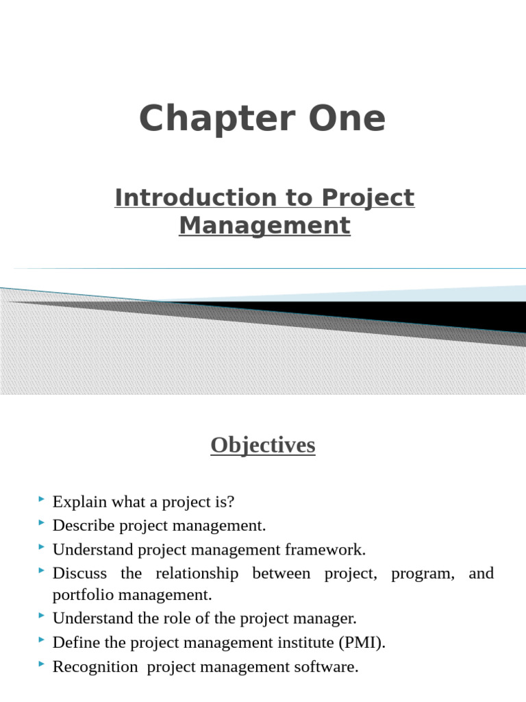 PM Chapter One | PDF