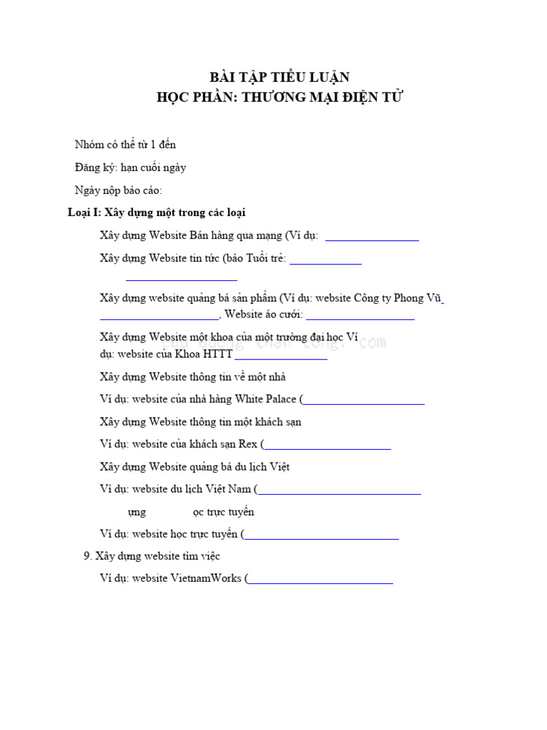 Tieu Luan TMDT | PDF