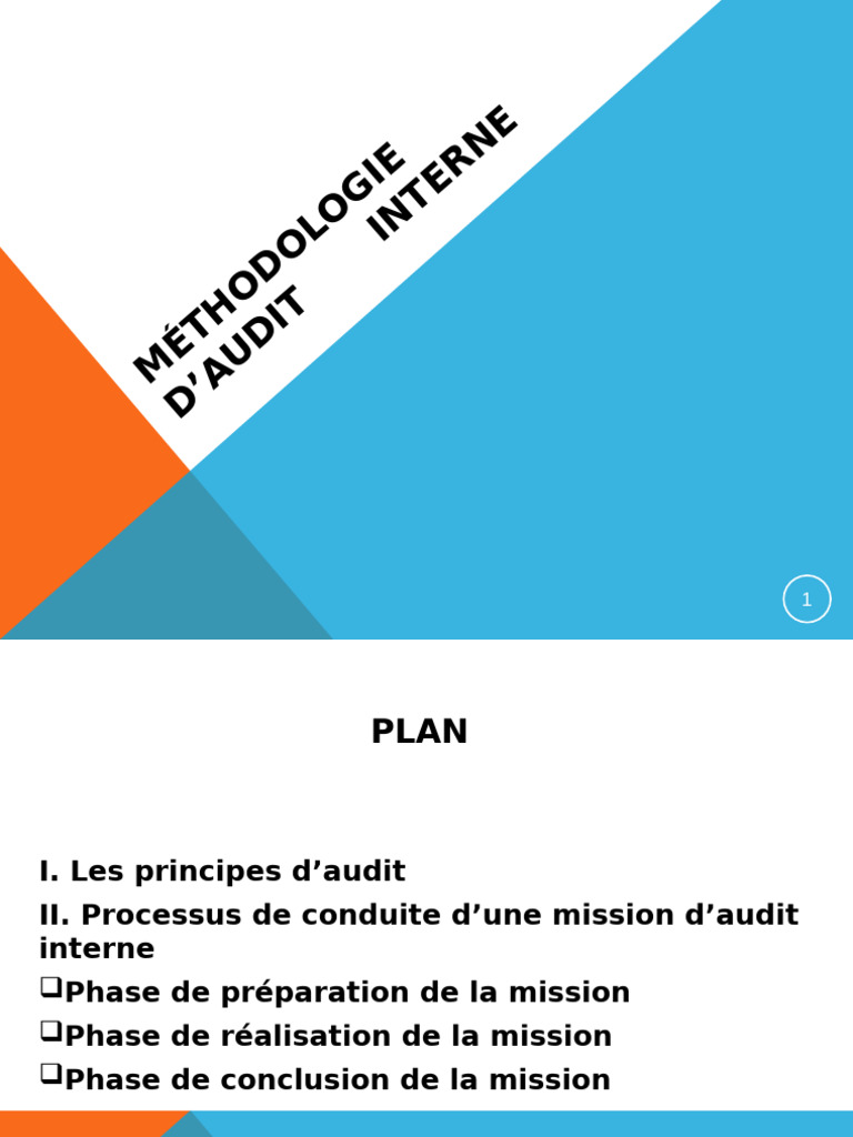 METHODOLOGIE D'AUDIT INERNE - Mme KANE-IFACE | PDF