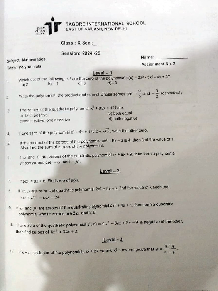 Assignment Polynomials | PDF