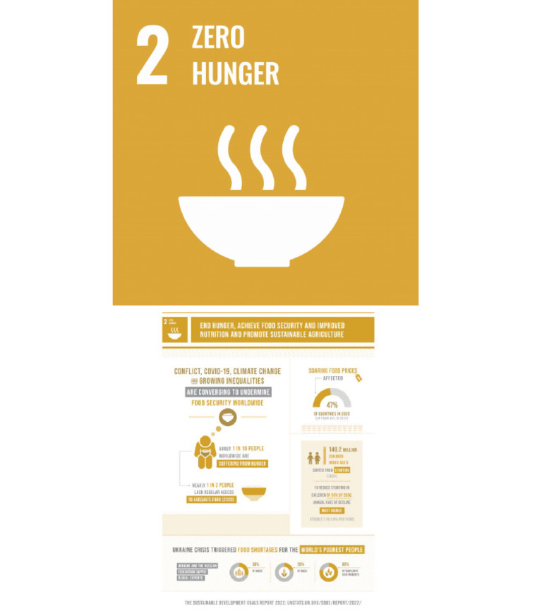 SDG 2 Zero Hunger | PDF
