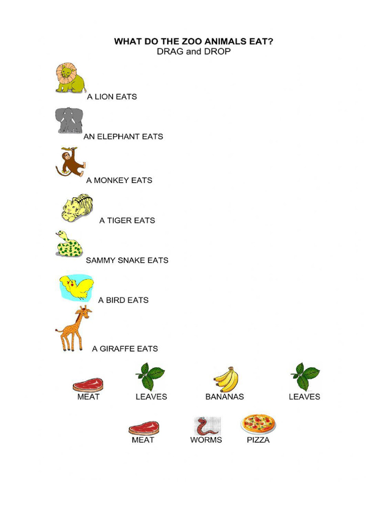 Animal Eat | PDF