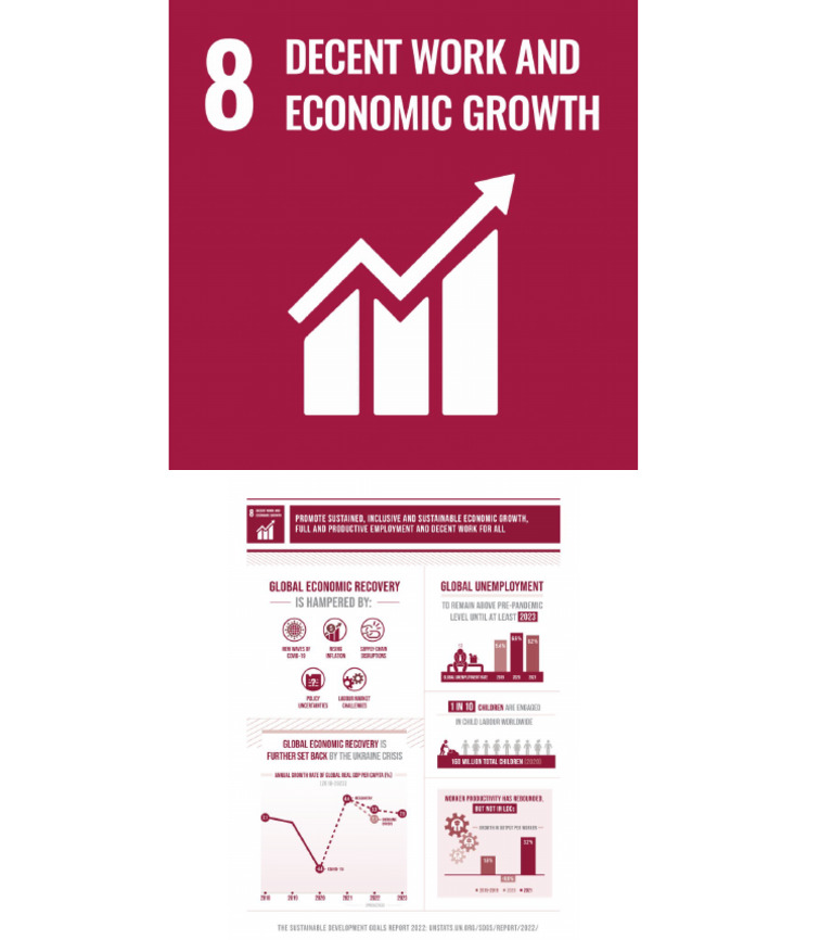 SDG 8 Decent Work and Economic Growth | PDF