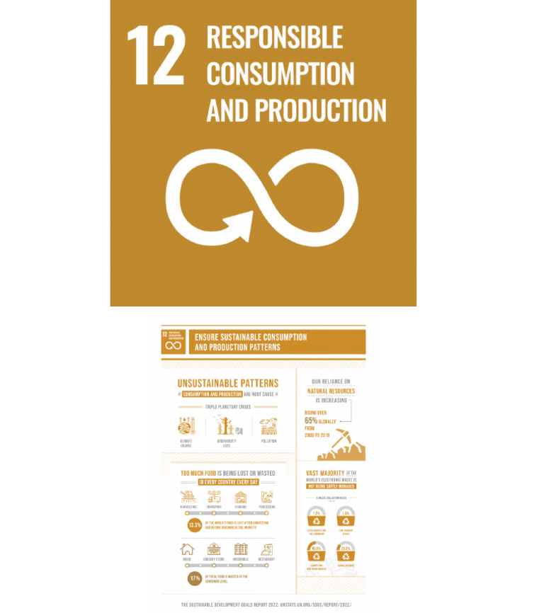 SDG 12 Responsible Consumption and Production | PDF