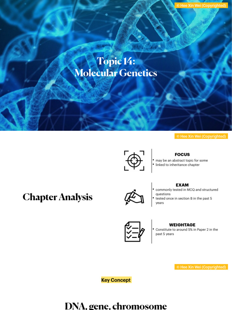 (CS BIO) Chapter 14 - Molecular Genetics | PDF