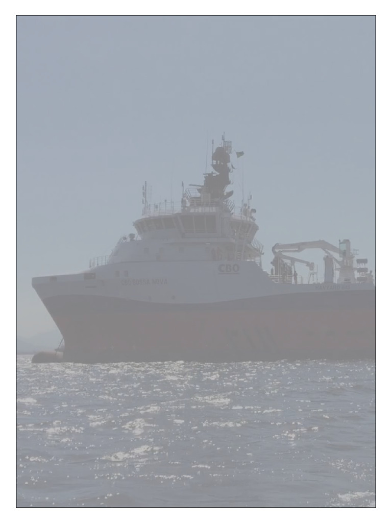 O Guia Pratico Do AHTS | PDF