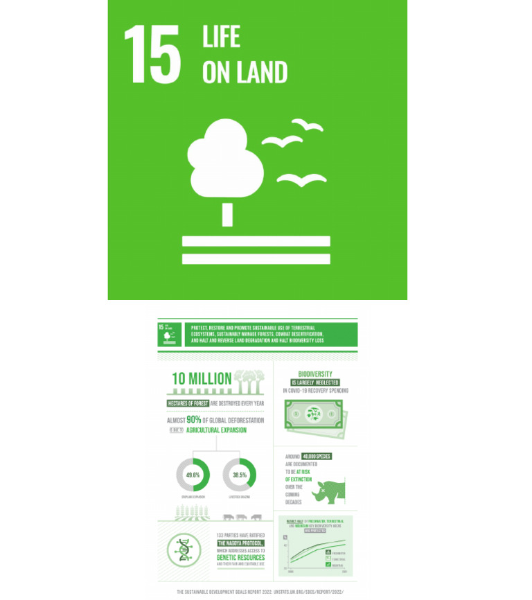 SDG 15 Life On Land | PDF