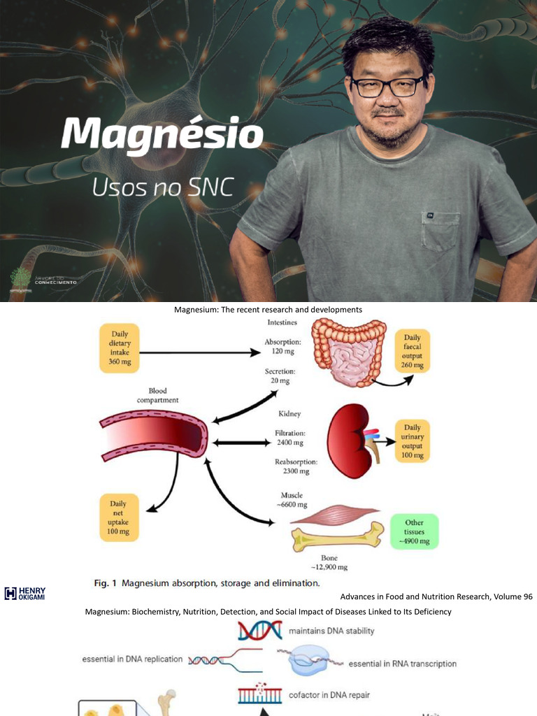 MAGNESIO | PDF