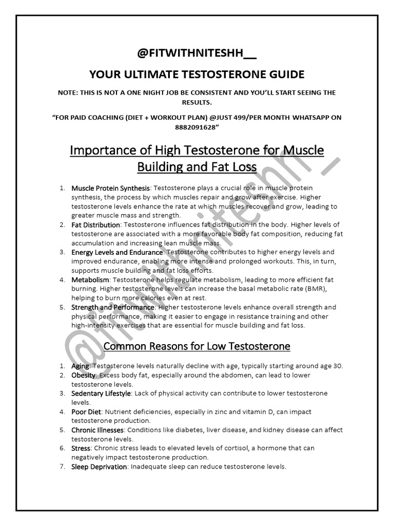 Ultimate Testosterone Guide | PDF