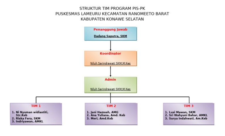 Struktur Tim Program Pis PK PKM Lameuru | PDF