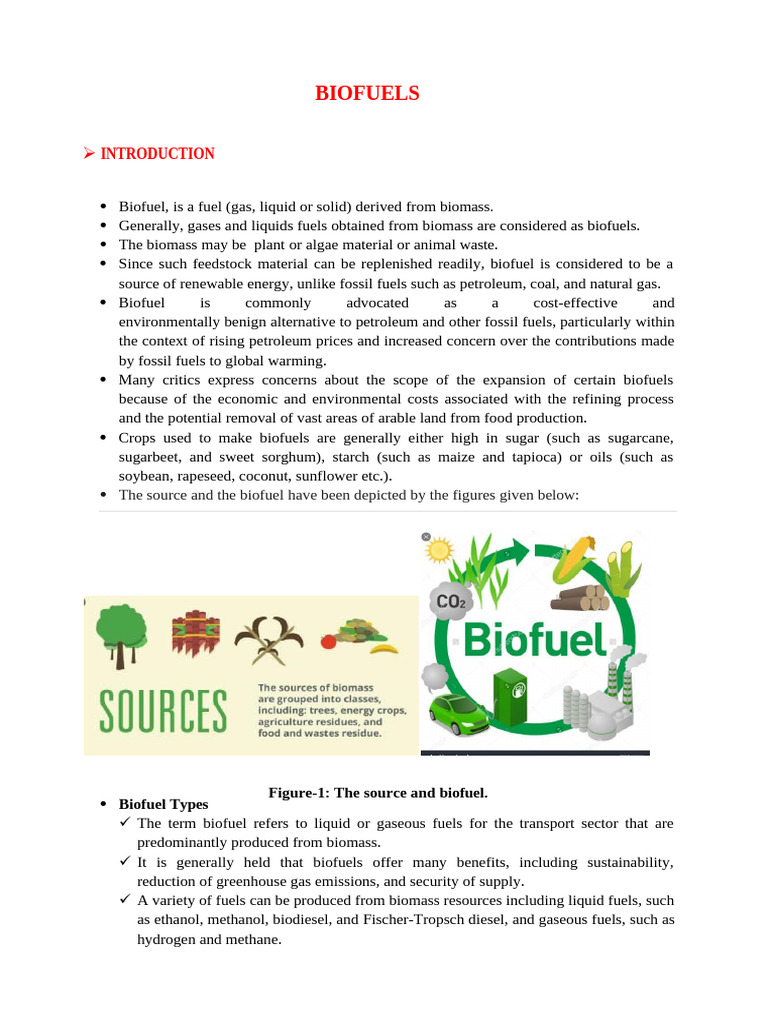 Mod 1 Biofuels | PDF