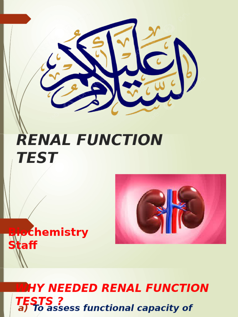 Renal Function Test - PPTX Israr | PDF