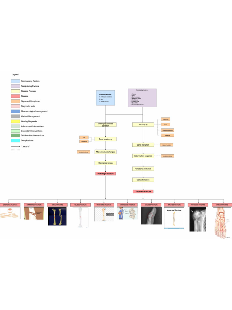 CM 5_ Alterations in Locomotion-Ward class (1).jpg | PDF
