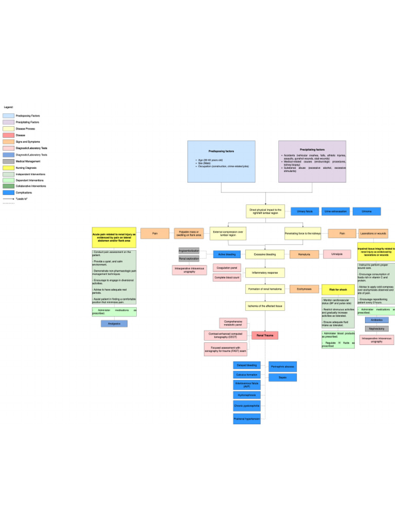 CONCEPT MAPS-RENAL TRAUMA.drawio.png | PDF