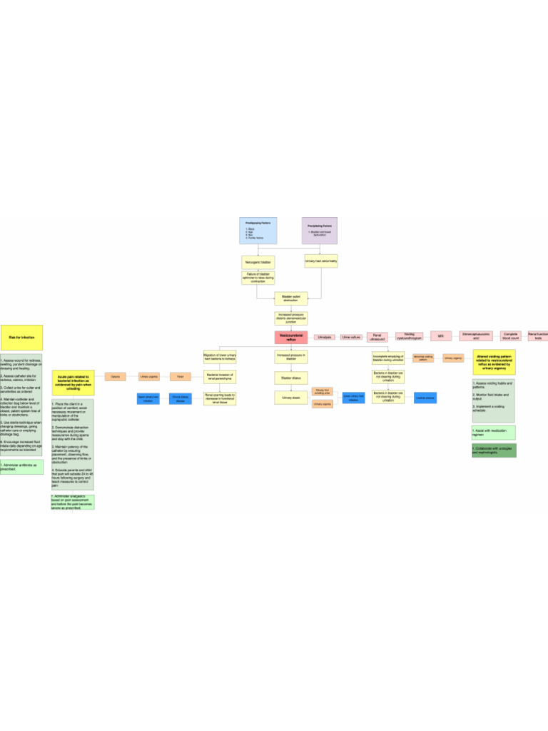CONCEPT MAPS-Vesicoureteral Reflux - Drawio.png | PDF