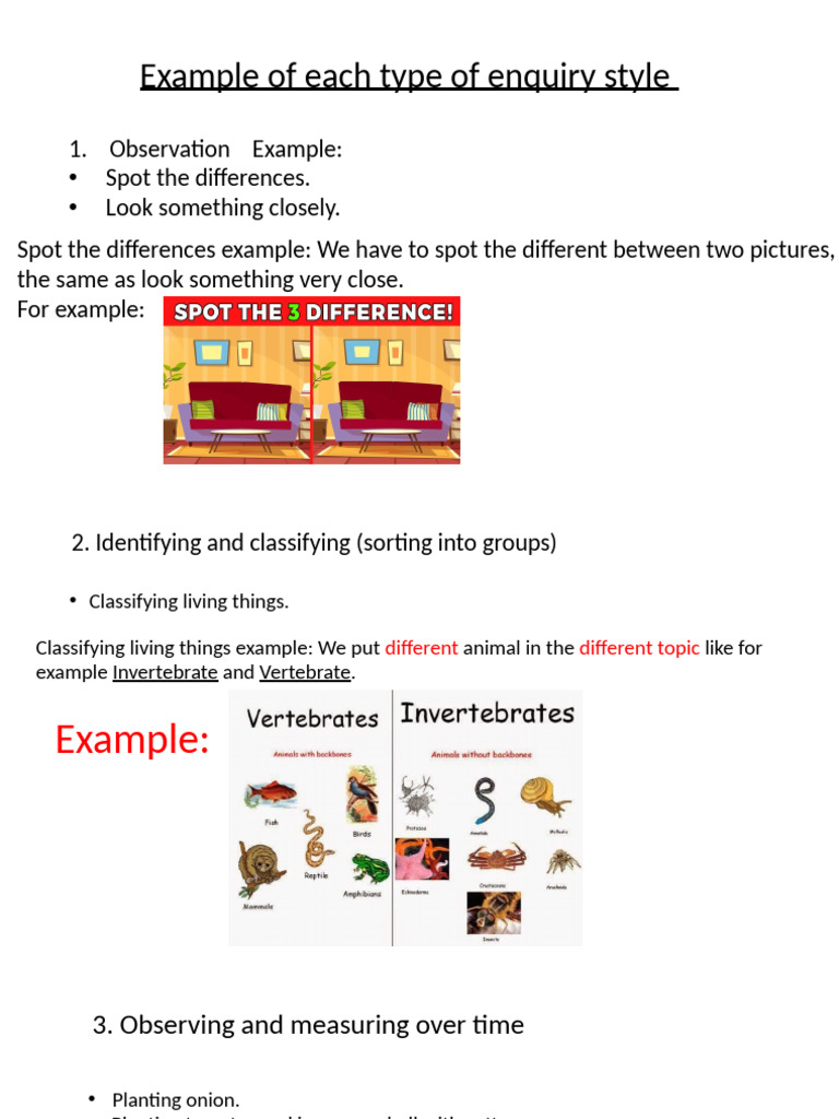 Science Project | PDF