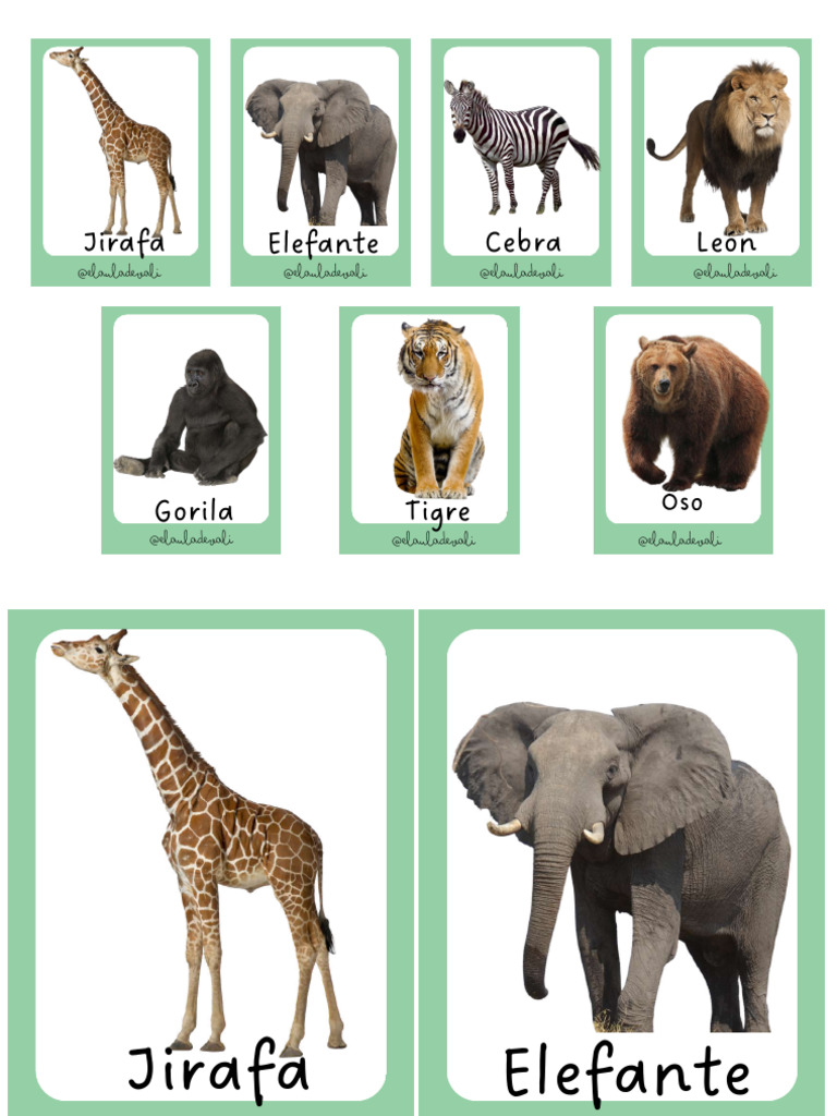 Animales Salvajes - El Aula de Vali | PDF