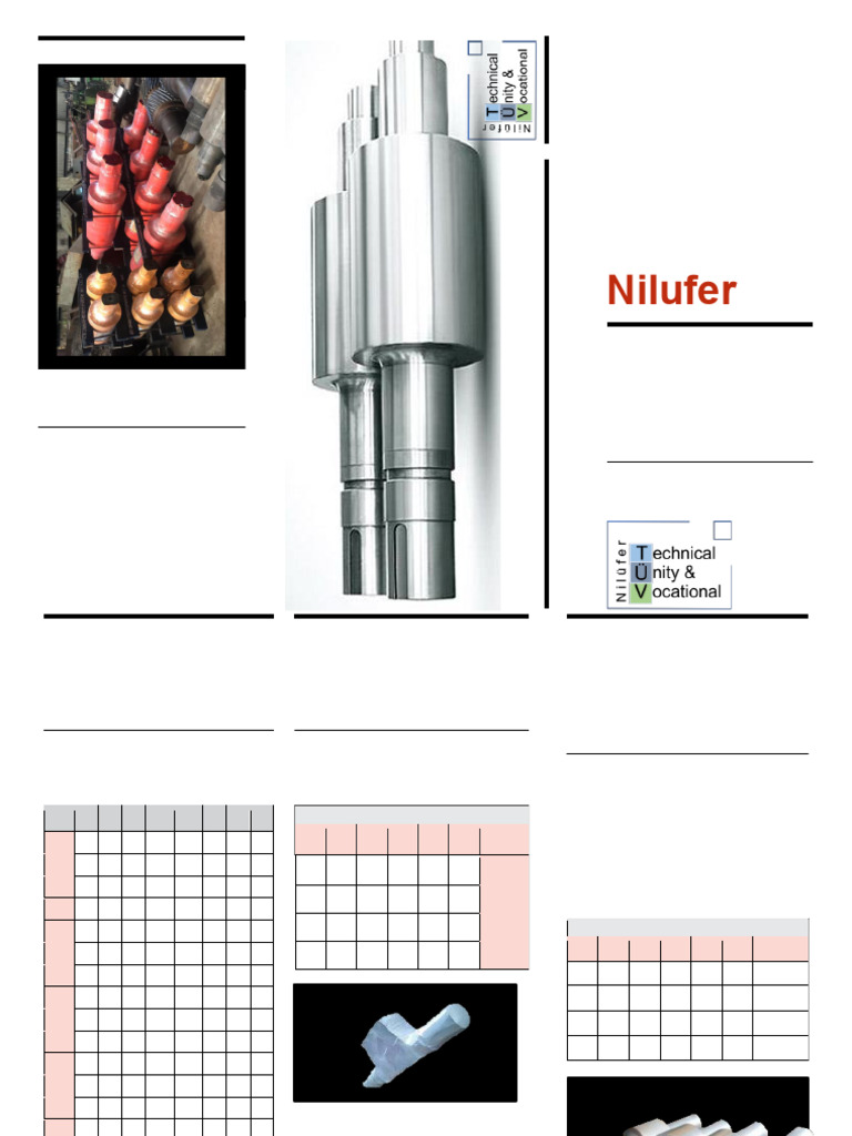 Nilufer Rolls | PDF