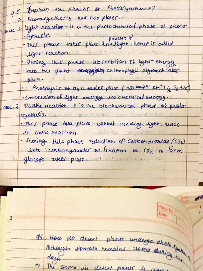 Bio Question and Answers | PDF