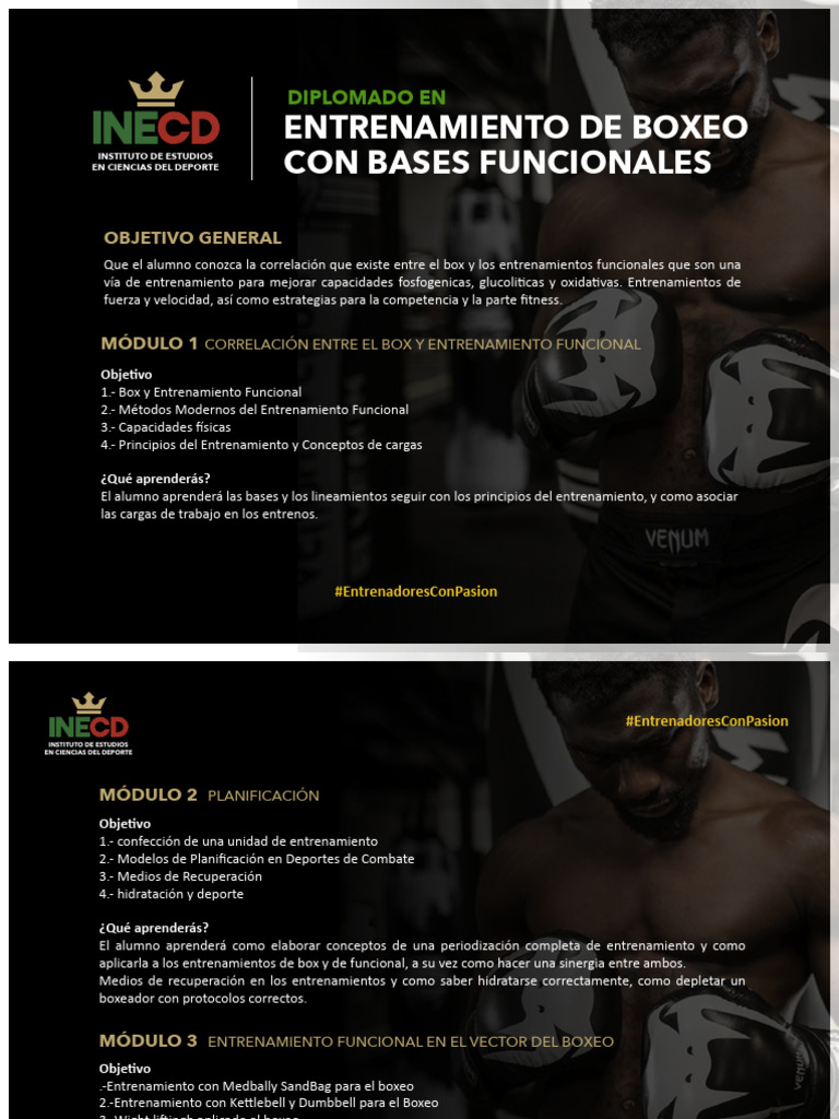 Entrenamiento de Boxeo Con Bases Funcionales | PDF