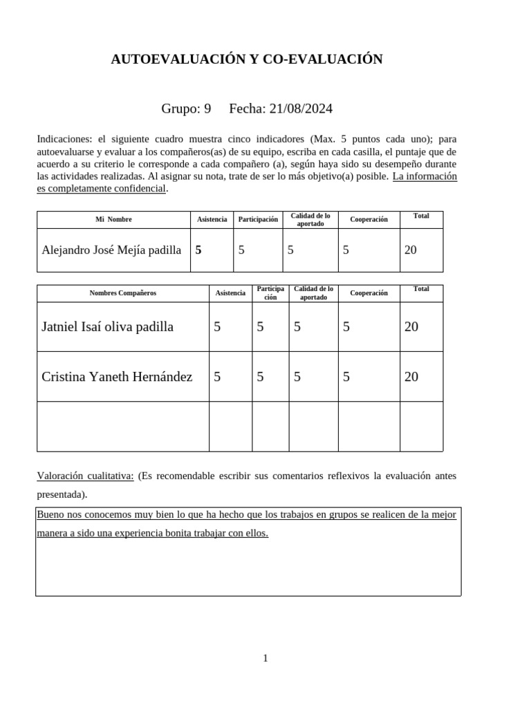 Formato Auto y Co Evaluacion | PDF