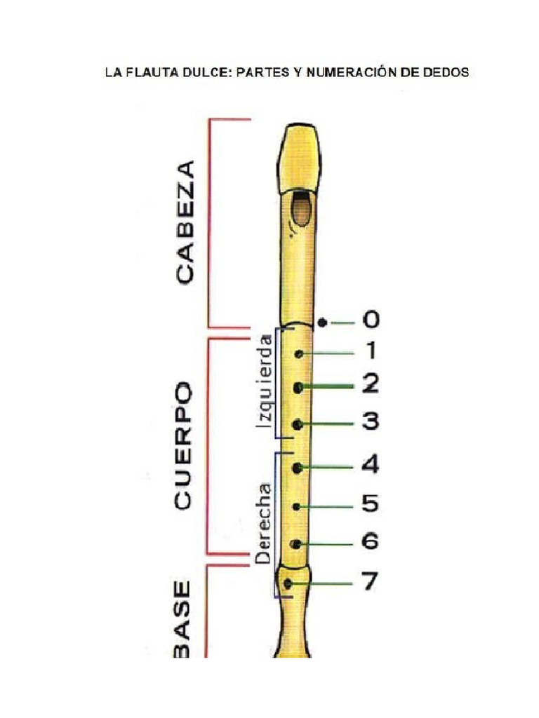 Flauta Partes | PDF