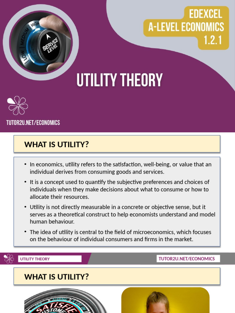 1 2 1 Utility Theory | PDF
