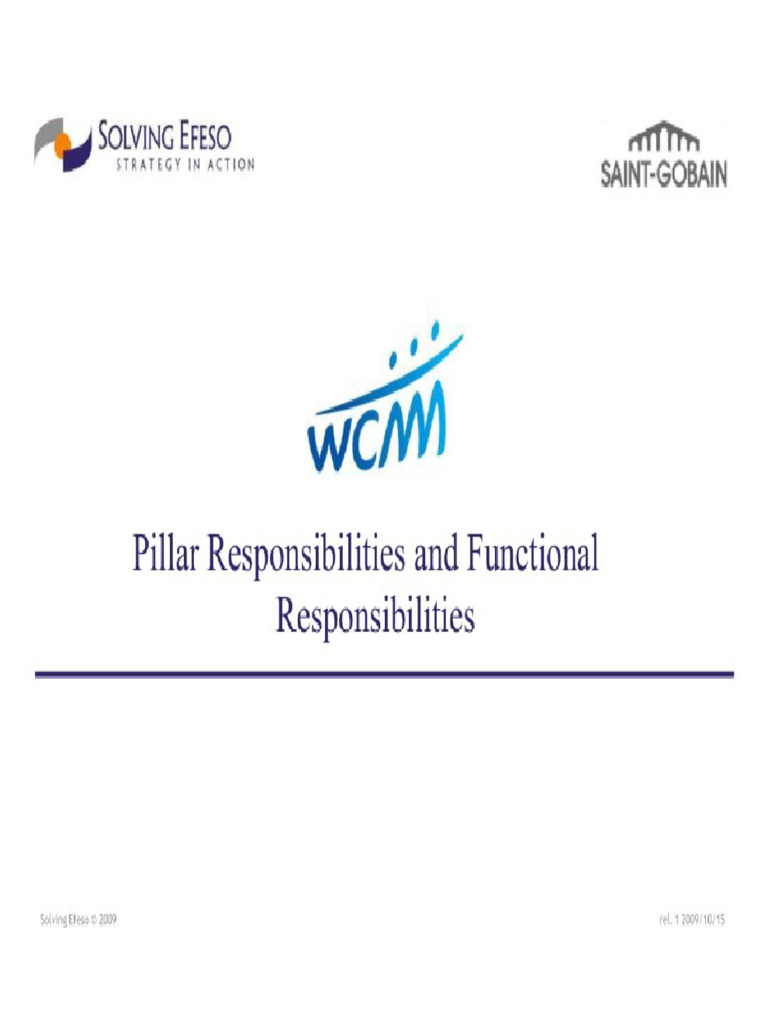 01.23 Pillars and Functional Responsibilities | PDF