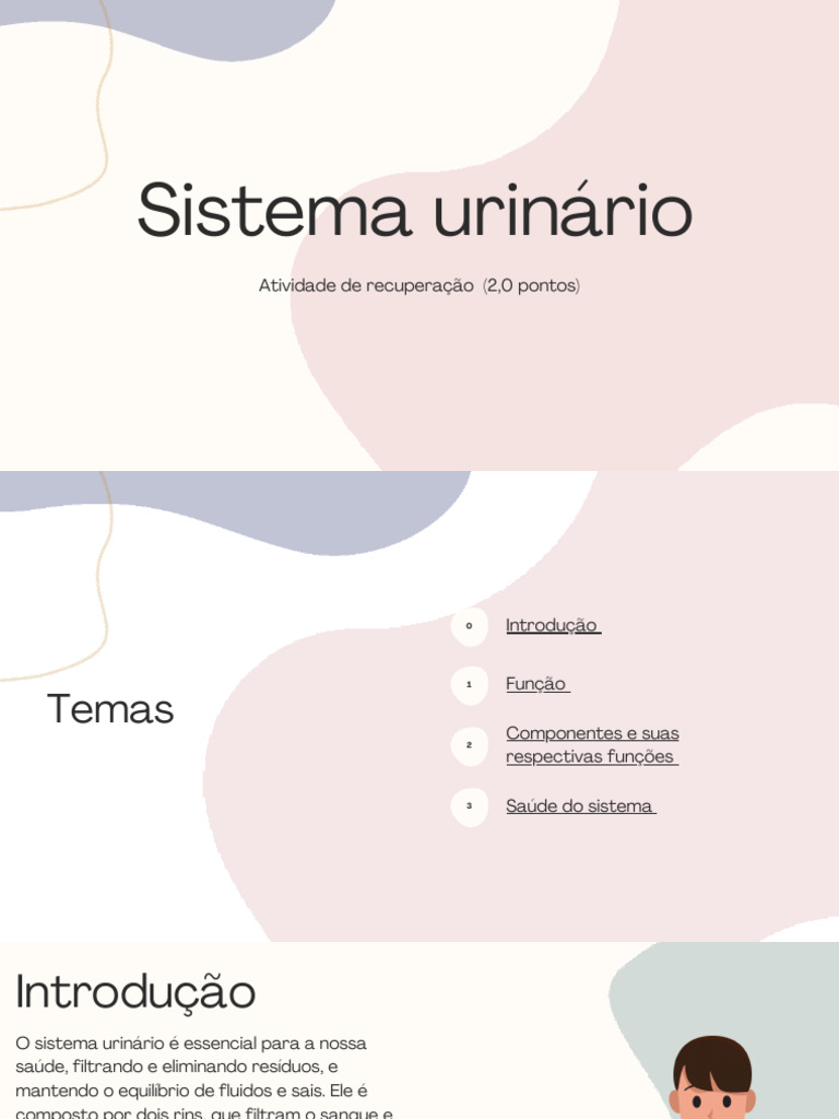 Sistema Urinário | PDF