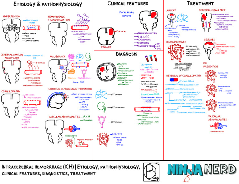 Neuro Pathology) 04 ICH - Key | PDF