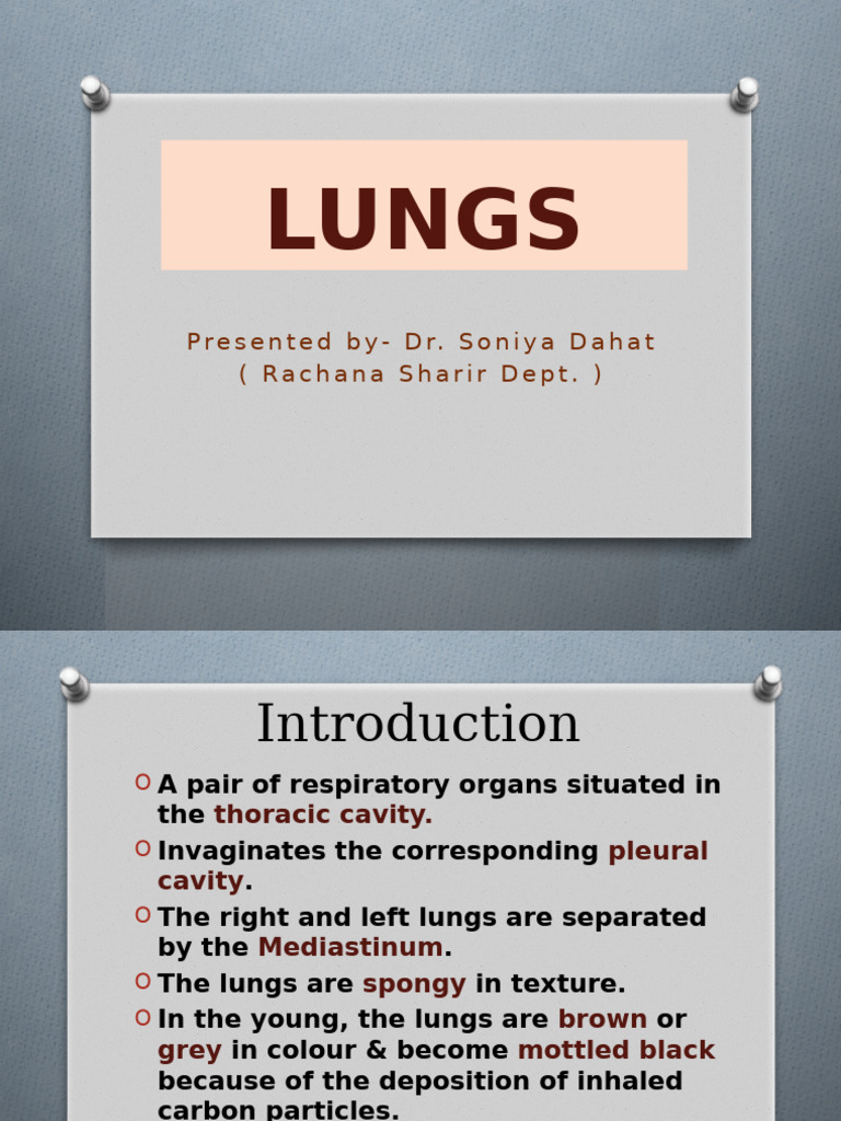 Lung PPT by Dr. Soniya | PDF