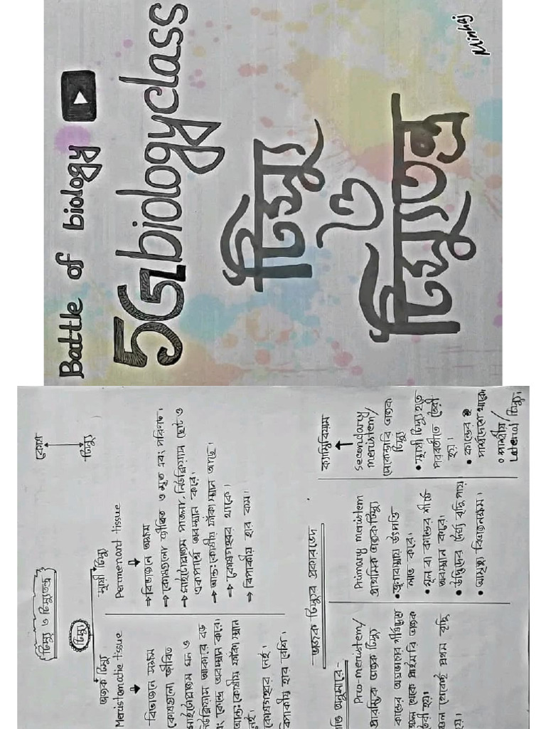 Chapter - 08 - V2 | PDF