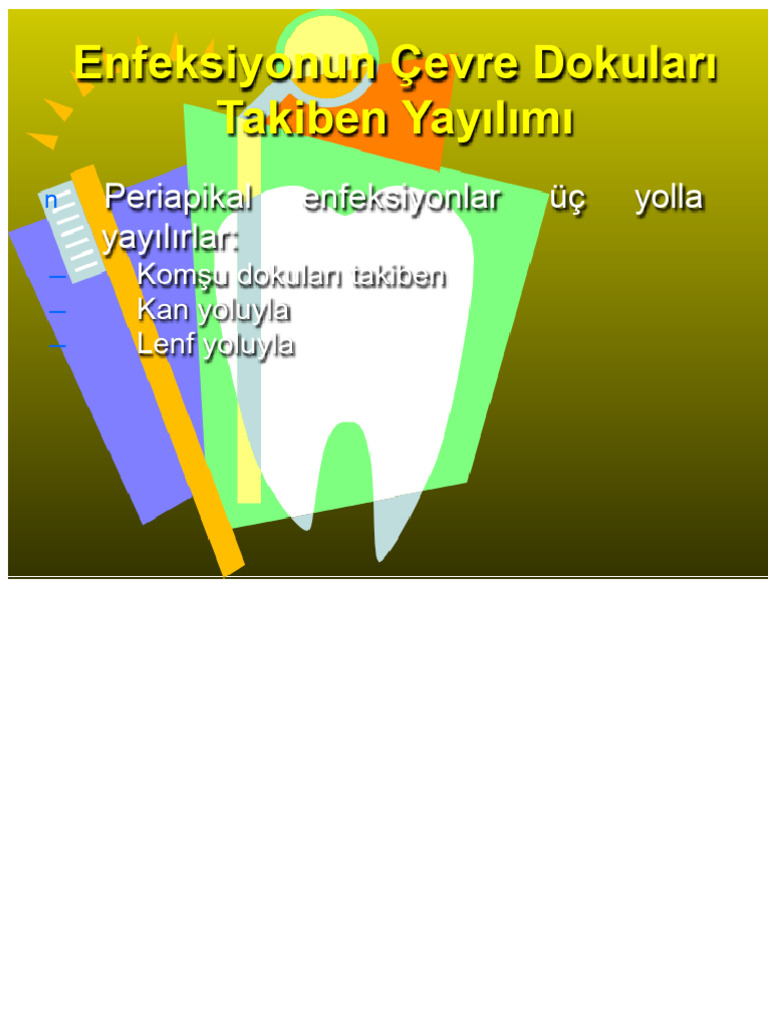 Enfeksiyon Ders 2 | PDF