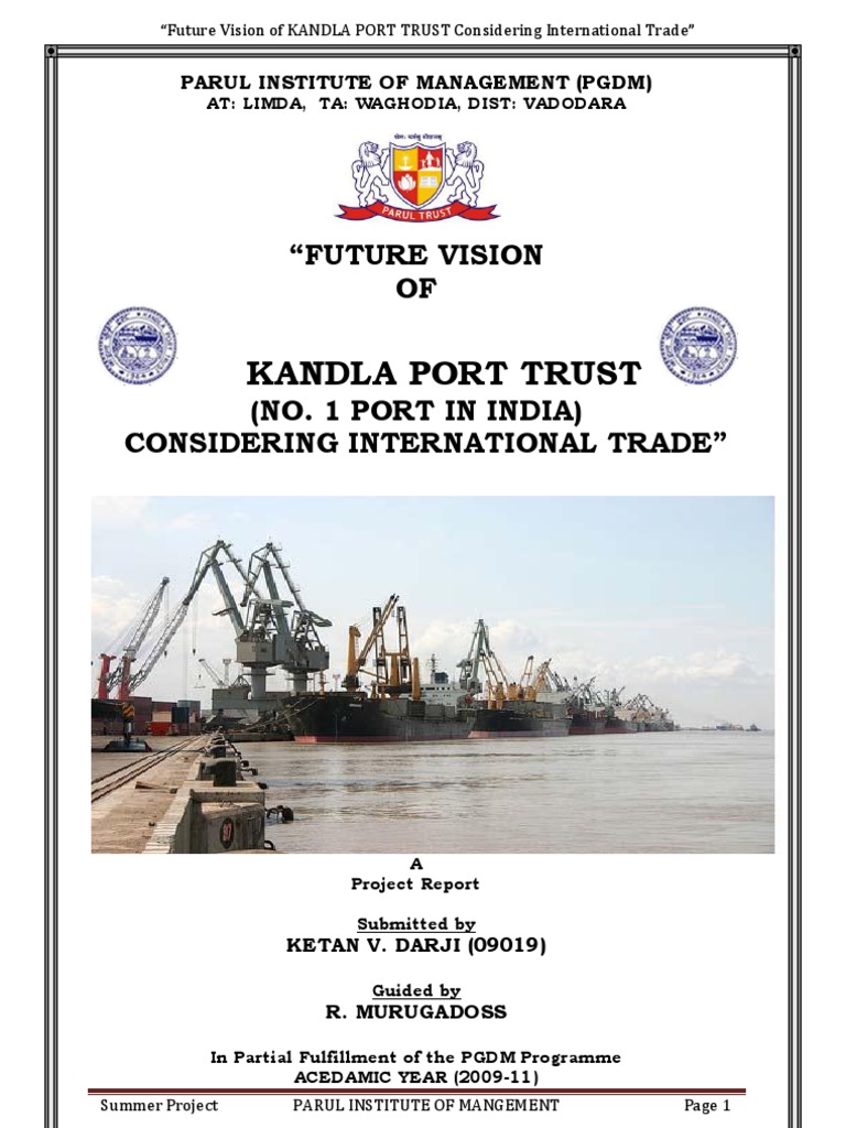 FUTURE VISION Project Report-Prince Dudhatra | PDF