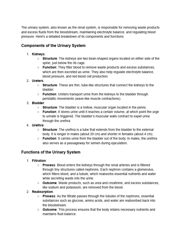 Rev 1 | PDF