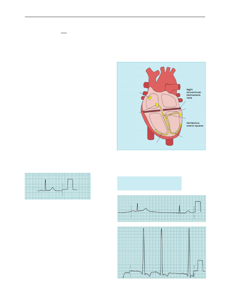 1 Introduccion Traducido | PDF