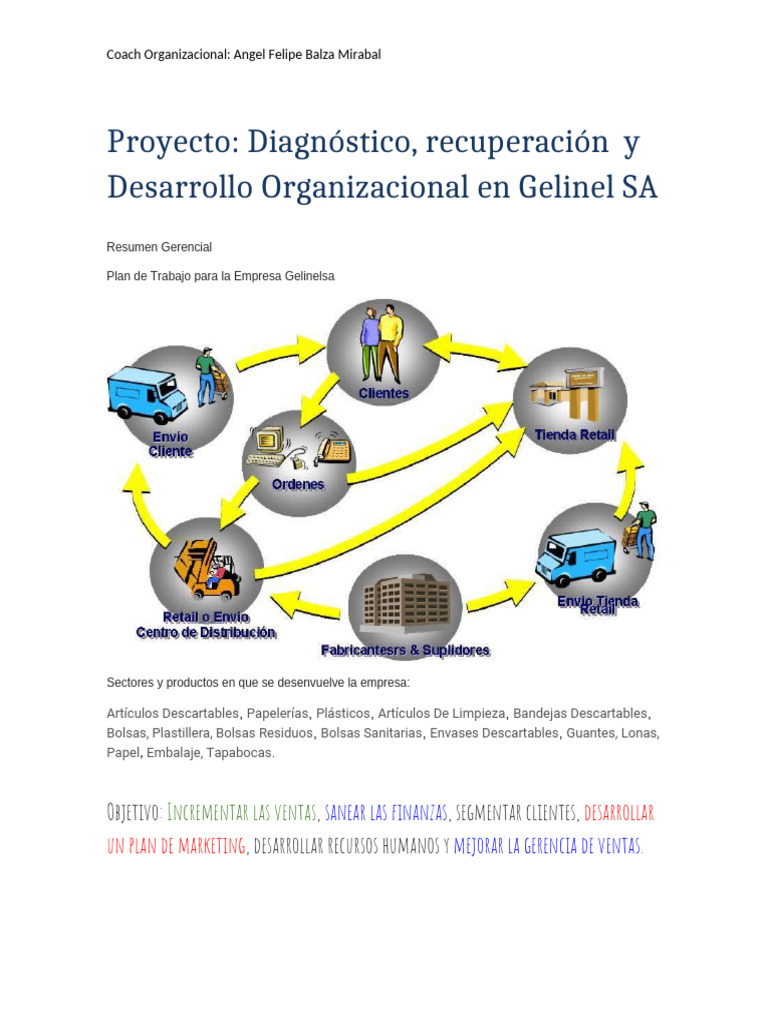 Proyecto Desarrollo de Gelinelsa | PDF | Marketing | Gestión de ...