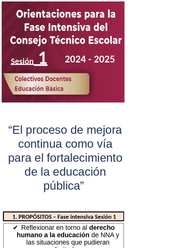 V 304 Sesión 1 Orientaciones para La Fase Intensiva de Cte Profe Eraldo | PDF