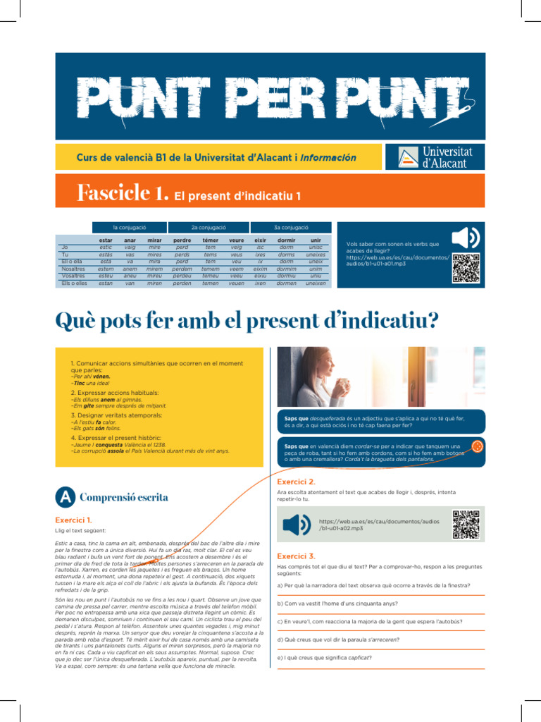 Punt Per Punt B1 | PDF