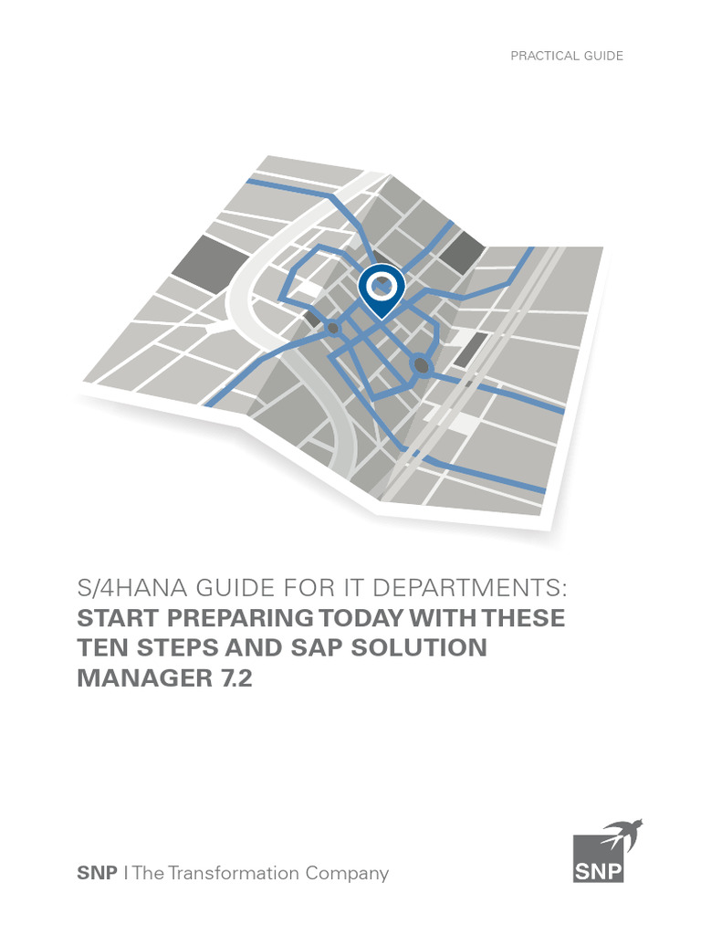 SNP S4HANA Guide for IT departments | PDF