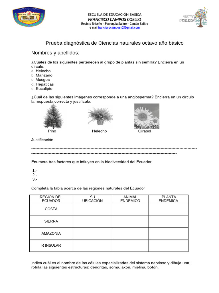 Prueba Diagnostica 8vo-9no. | PDF