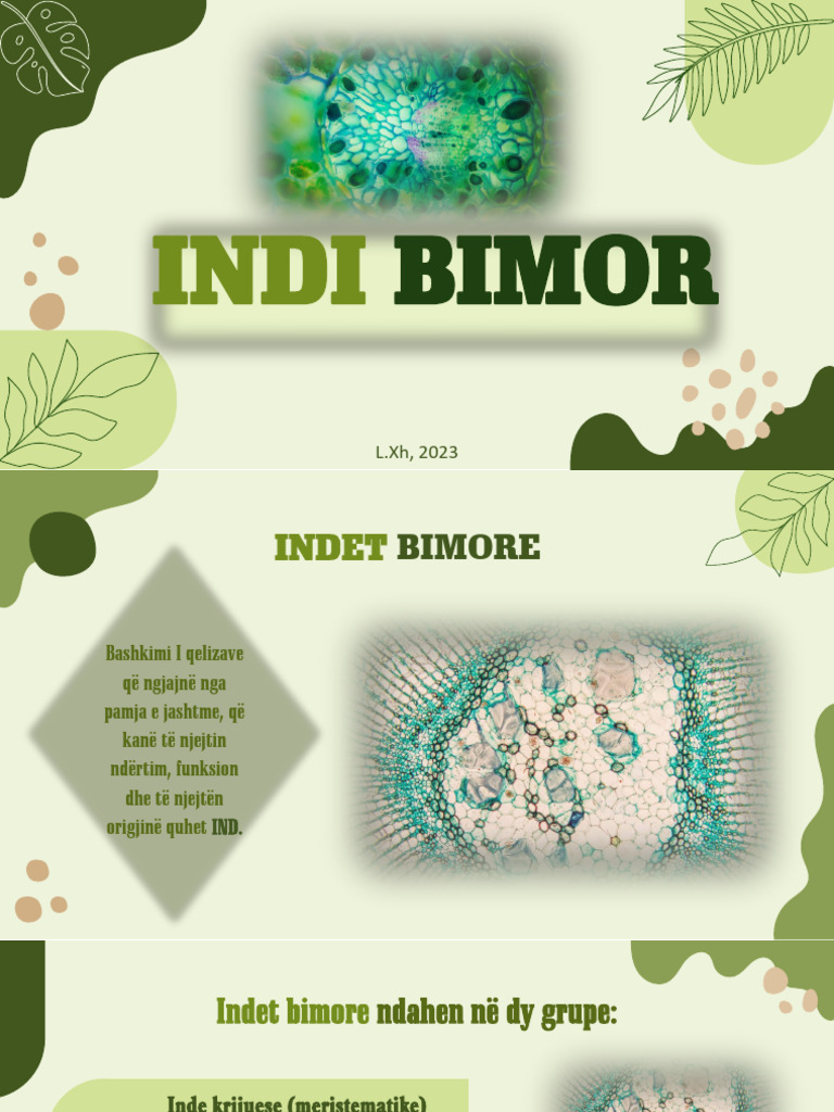 Indi Bimor | PDF