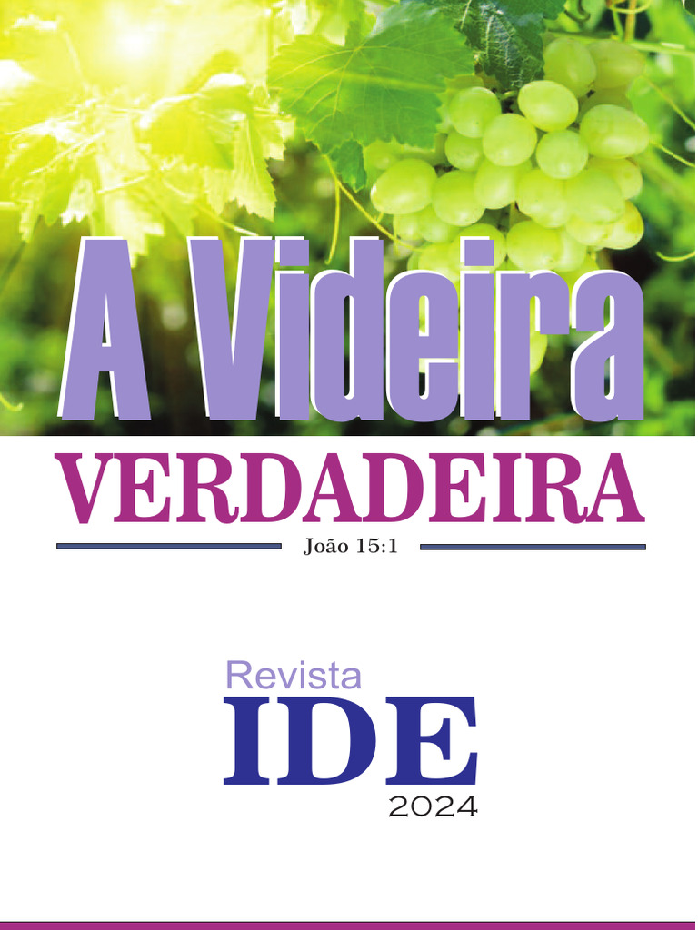 Revista IDE 2024 | PDF