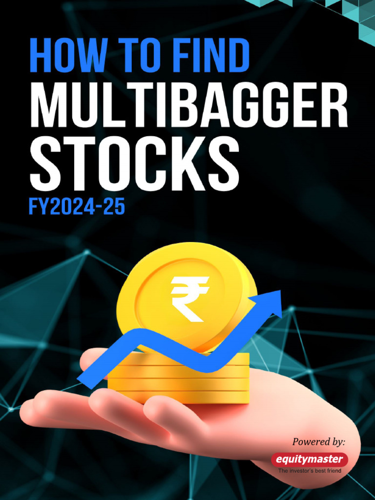 Multibagger Stock Ideas | PDF