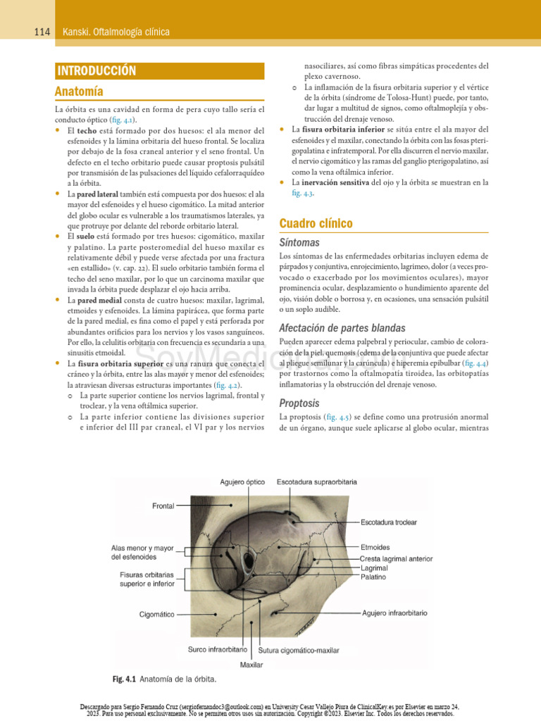 Capitulo4-Kanski Oftalmología Clínica - 9 Edicion | PDF