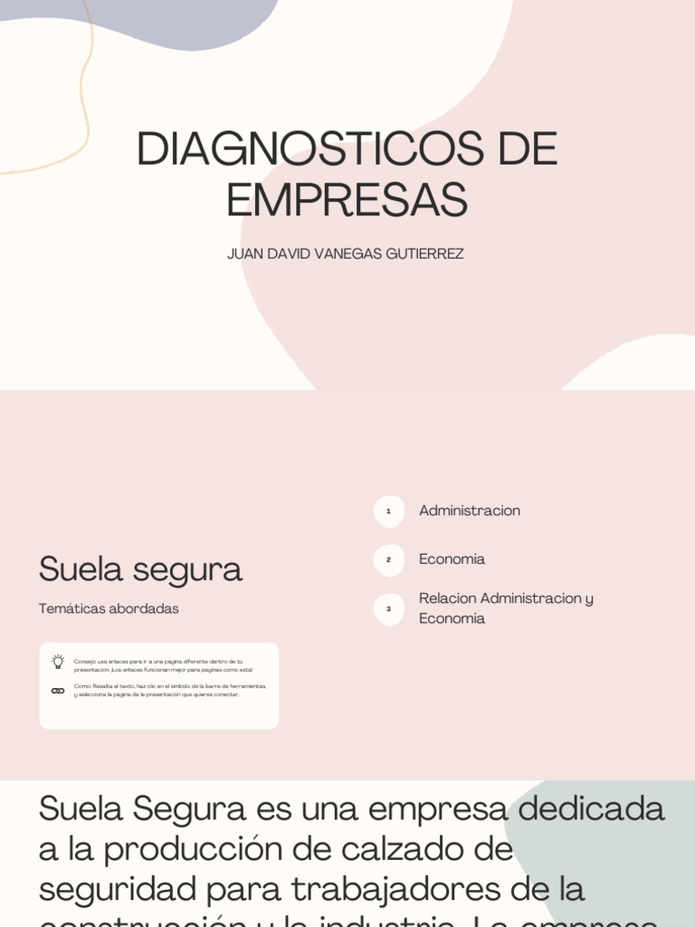 Diagnostico De Empresa Pdf