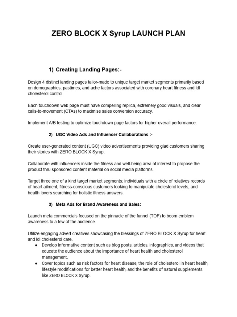 ZERO BLOCK X Syrup LAUNCH PLAN | PDF